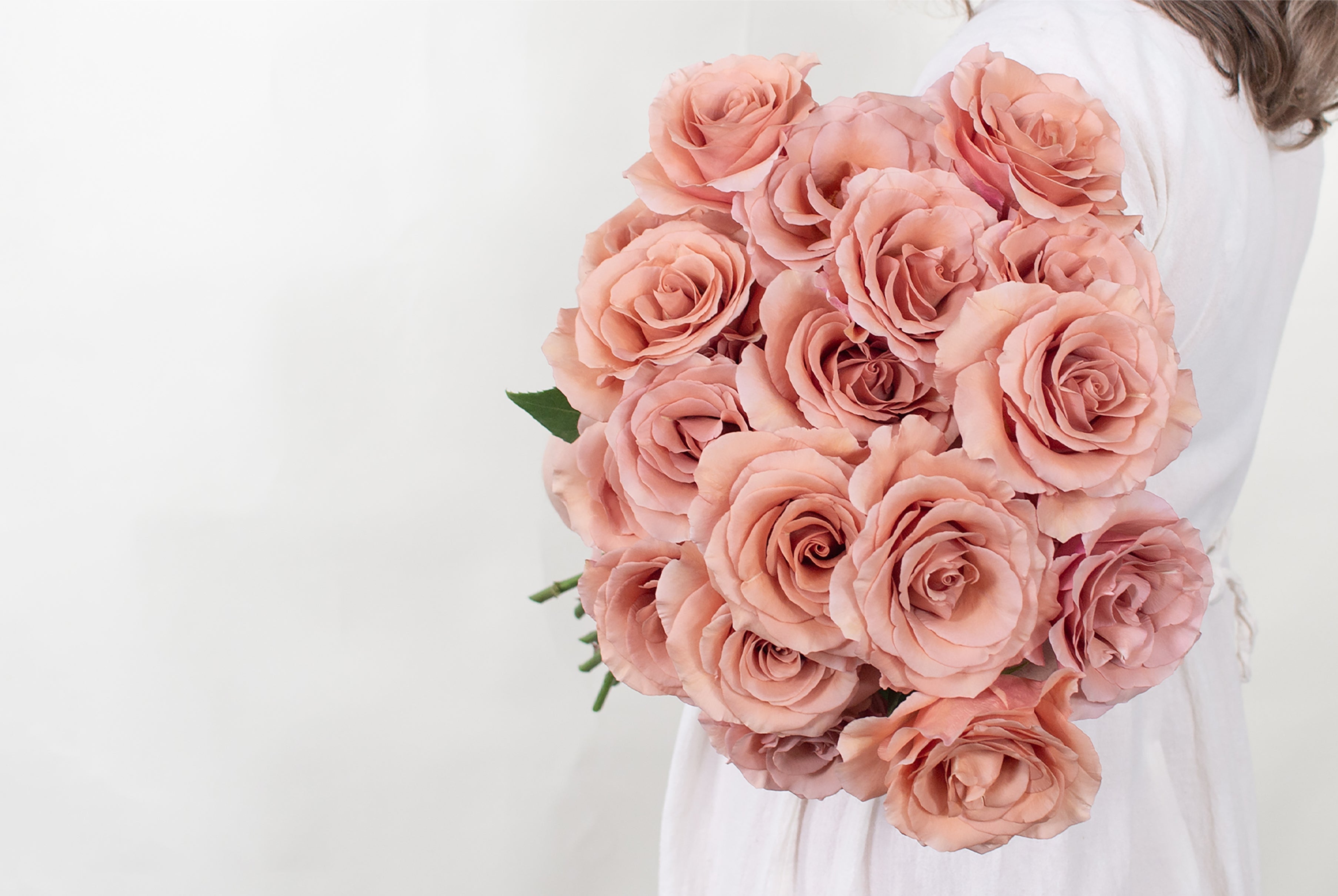 Rose Color Chart Meanings Flower Meanings Rose Color Meanings