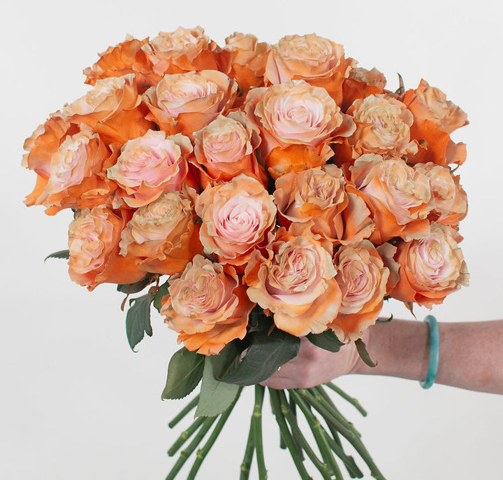 Our Honest Opinion about Painted and Dyed Roses – Flower Moxie