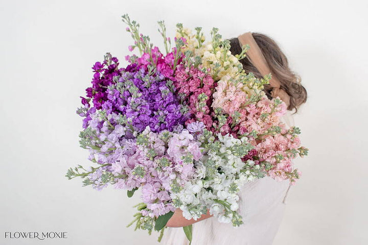 The Versatility of Mixed Flower Boxes – Flower Moxie