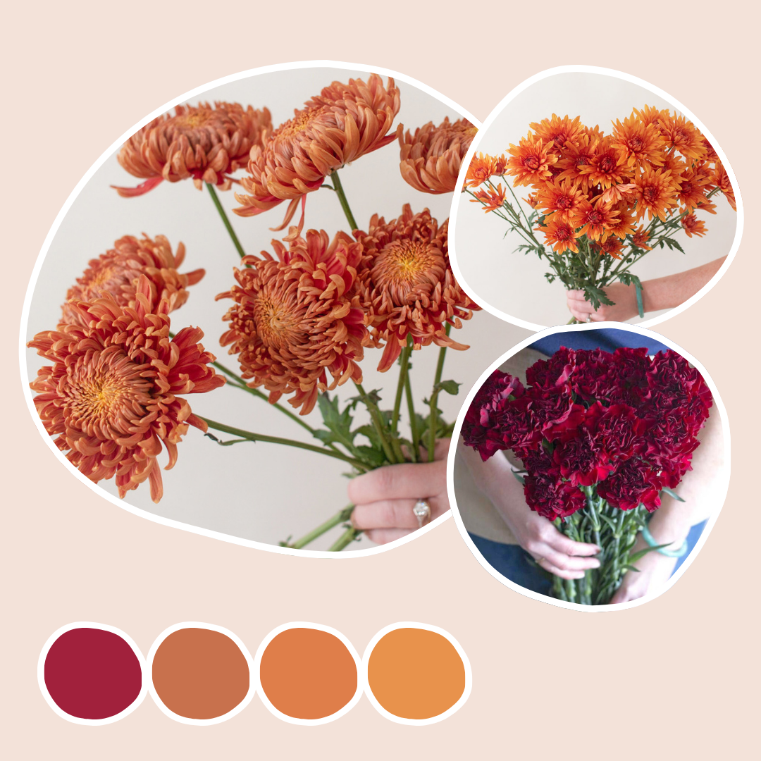 FALL ONLY Mixed Box – Copper & Claret | Flower Moxie Bulk Flowers