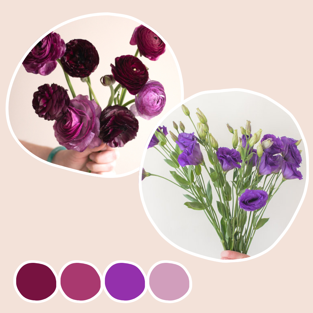 Deep Purple Ranunculus and Lisianthus Mixed Box | Flower Moxie Bulk Flowers