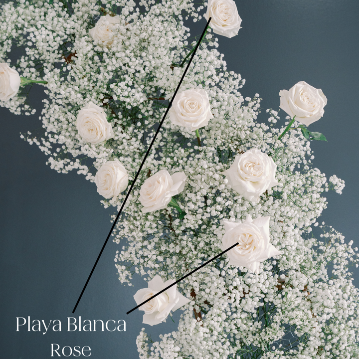 Playa Blanca Roses | Fresh DIY Wedding Flowers | Flower Moxie