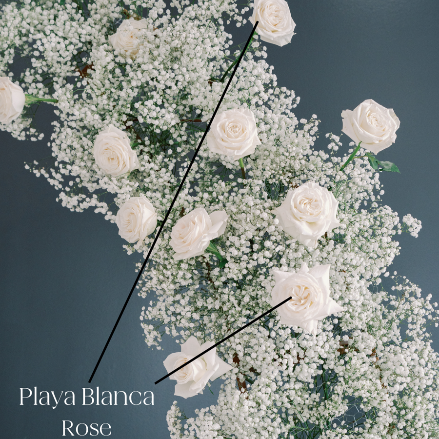 Playa Blanca Roses | Fresh DIY Wedding Flowers | Flower Moxie