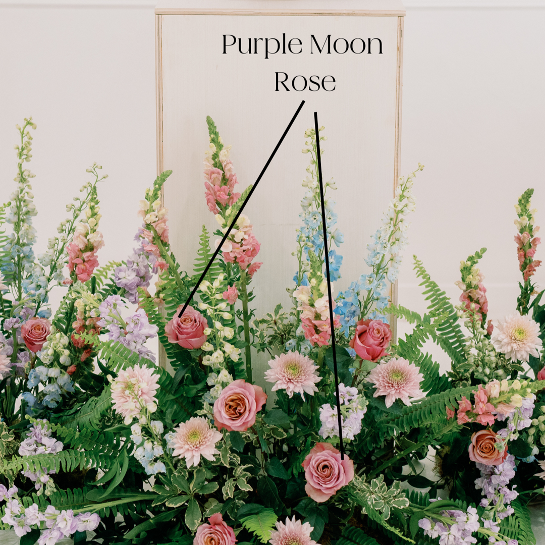 Peachy Mauve Purple Moon Rose | Fresh DIY Wedding Flowers | Flower Moxie