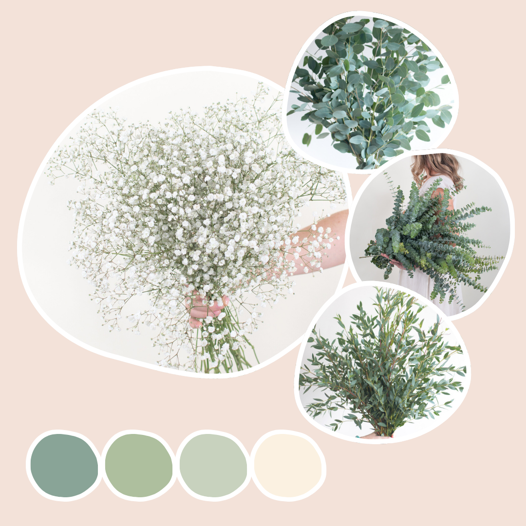 Eucalyptus and Baby's Breath Mixed Box | Flower Moxie Bulk
