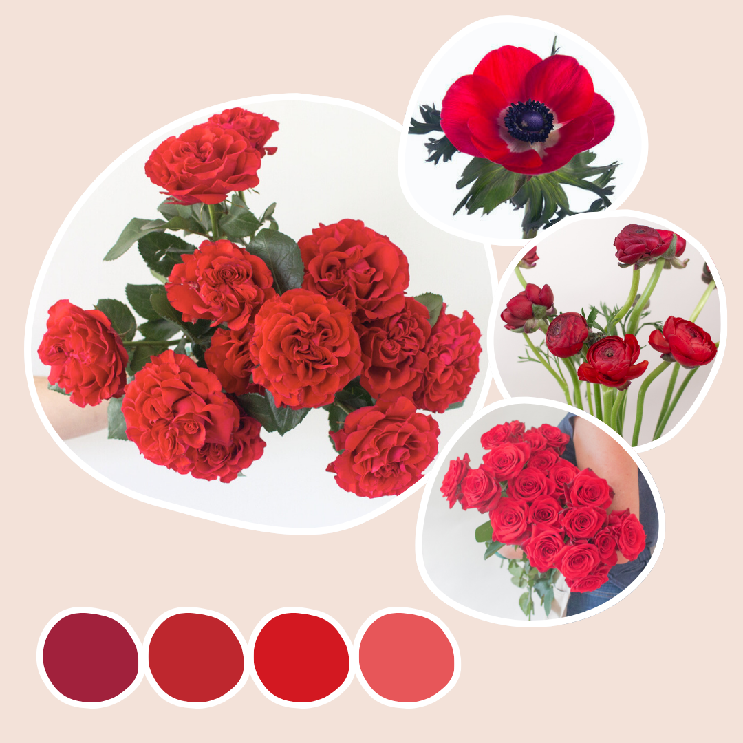 Red Mixed Box | Bulk DIY Flowers | Flower Moxie