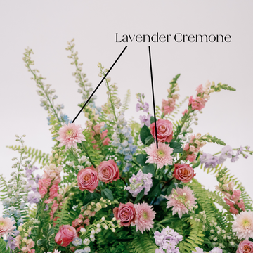 Lavender Cremone Flower | DIY Wedding Flowers | Flower Moxie