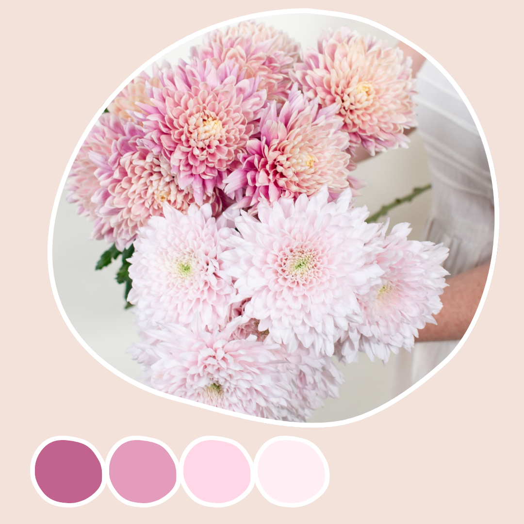 Peachy Pink and Soft Pink Cremones Mixed Box | DIY Wedding Flowers ...