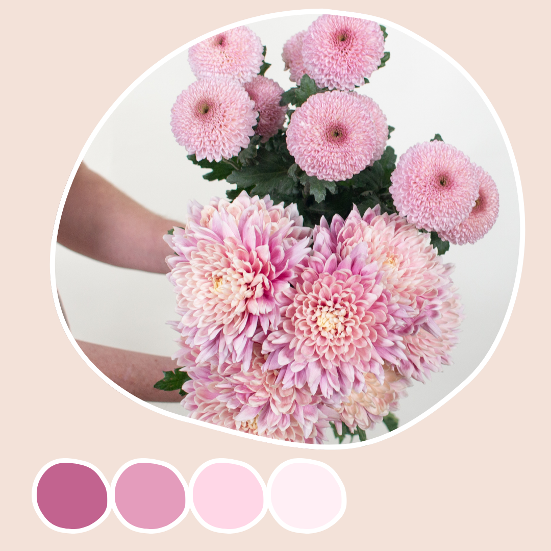 Peachy Pink and Light Pink Cremones Mixed Box | DIY Wedding Flowers ...