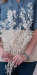 Bleached Dried White Italian Ruscus – Flower Moxie