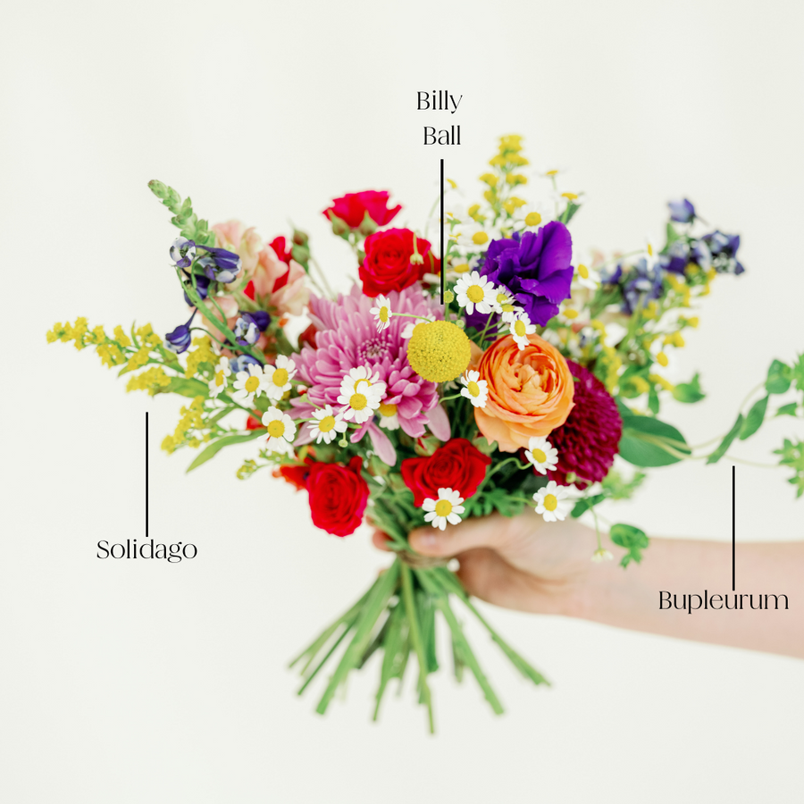 Bupleurum Greenery | DIY Wedding Flowers | Flower Moxie