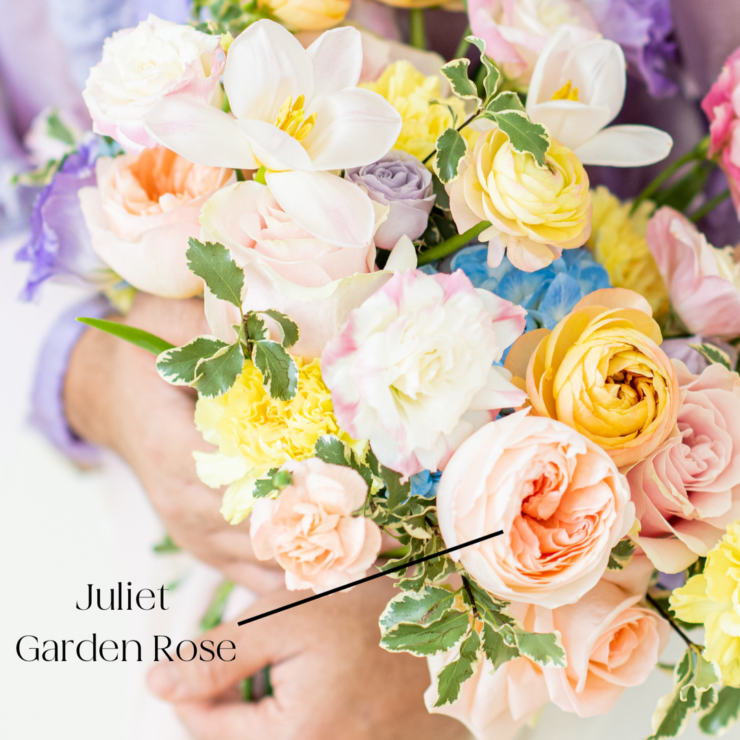 Juliet Garden Roses | DIY Wedding Flowers | Flower Moxie