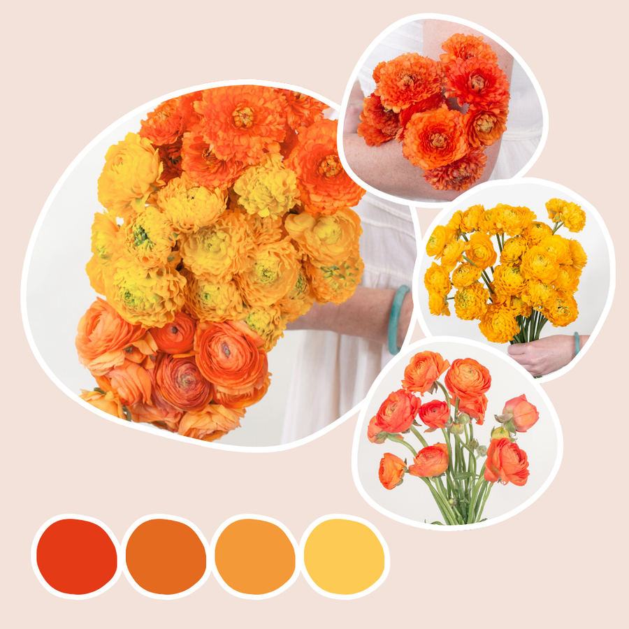 Yellow and Orange Ranunculus Mixed Box | DIY Wedding Flowers – Flower Moxie