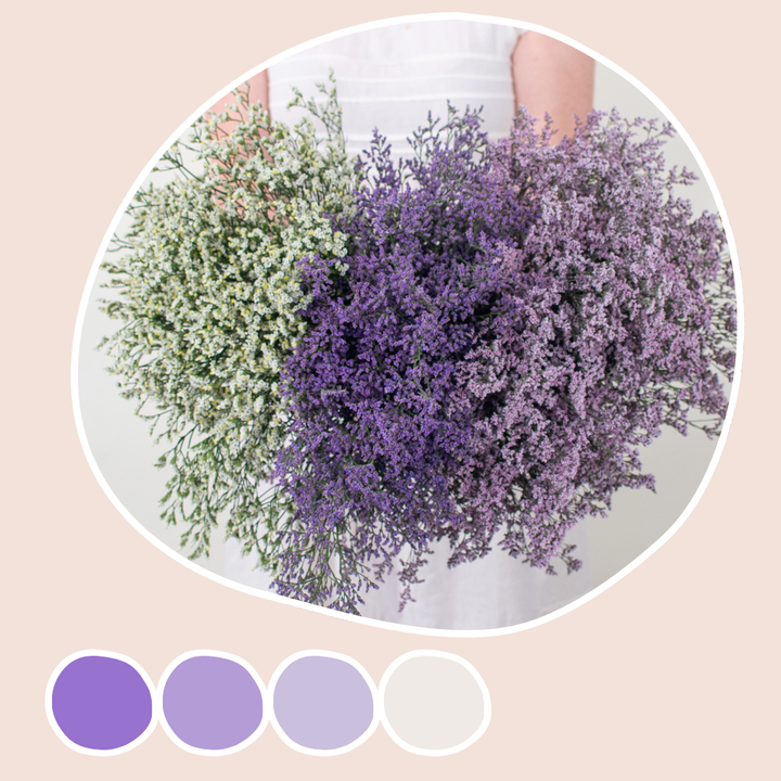 White, Purple and Lavender Limonium Mixed Box | Flower Moxie Bulk Flowers