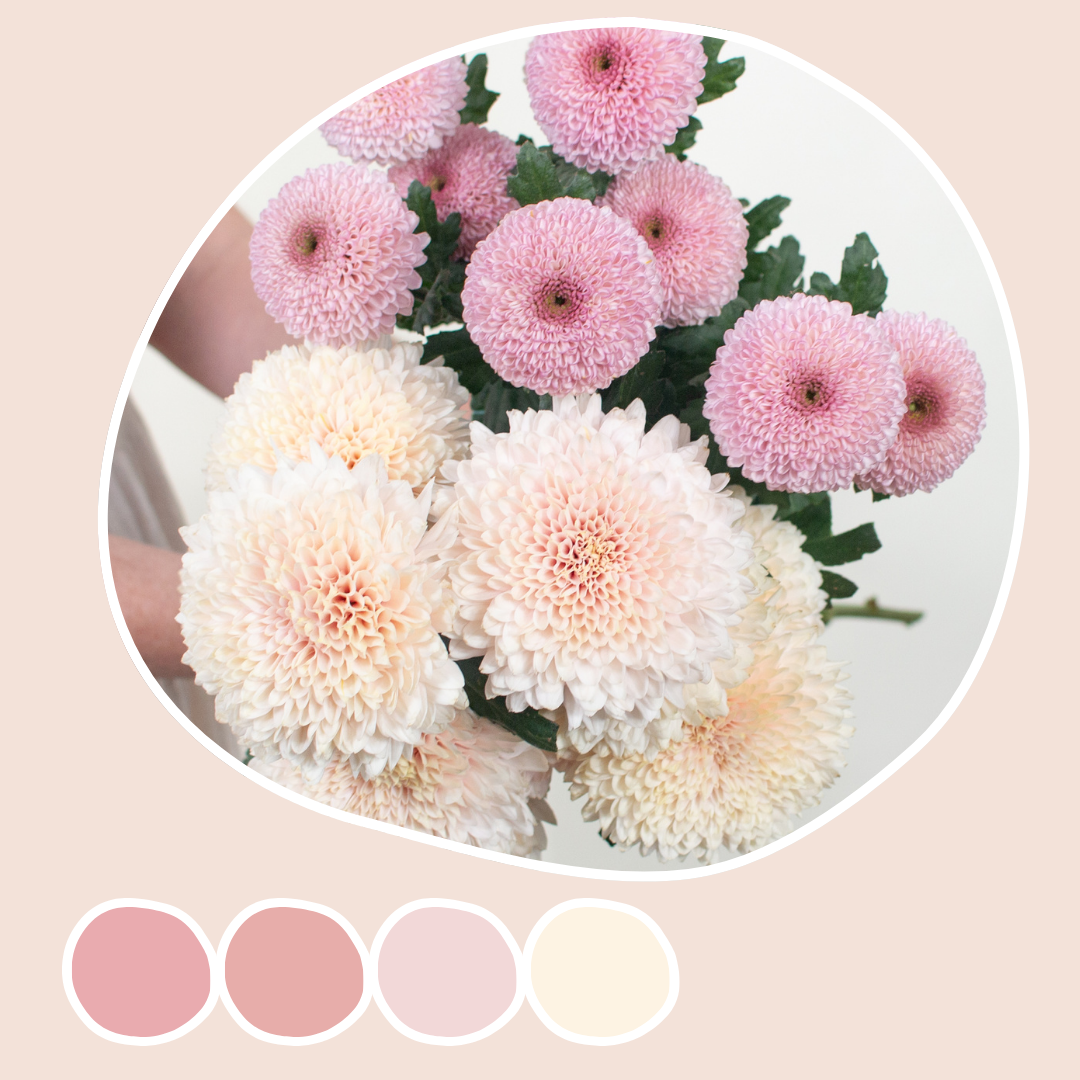 Champagne and Light Pink Cremones Mixed Box | DIY Wedding Flowers ...