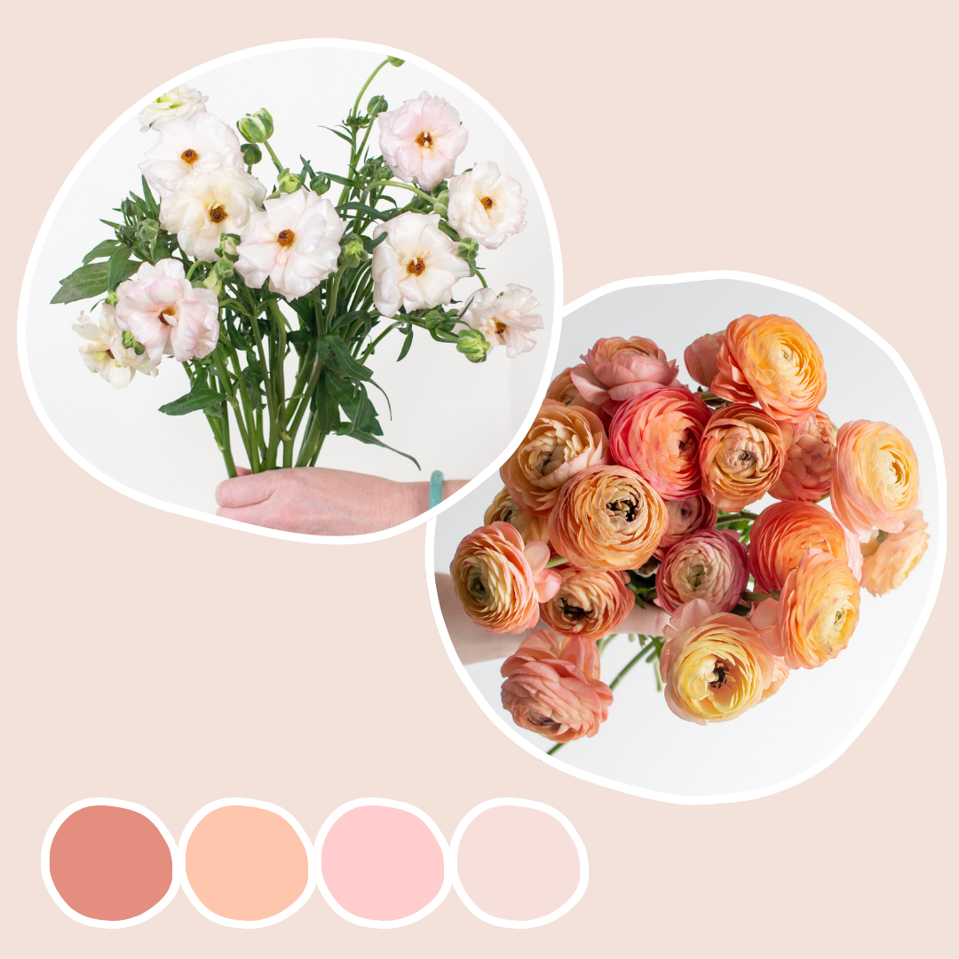 Peach Ranunculus and Blush Butterfly Ranunculus Mixed Box | DIY Wedding ...