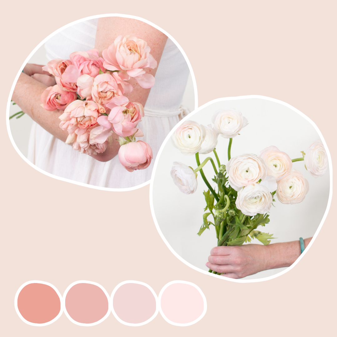 Peach and Blush Italian Ranunculus Mixed Box | DIY Wedding Flowers ...