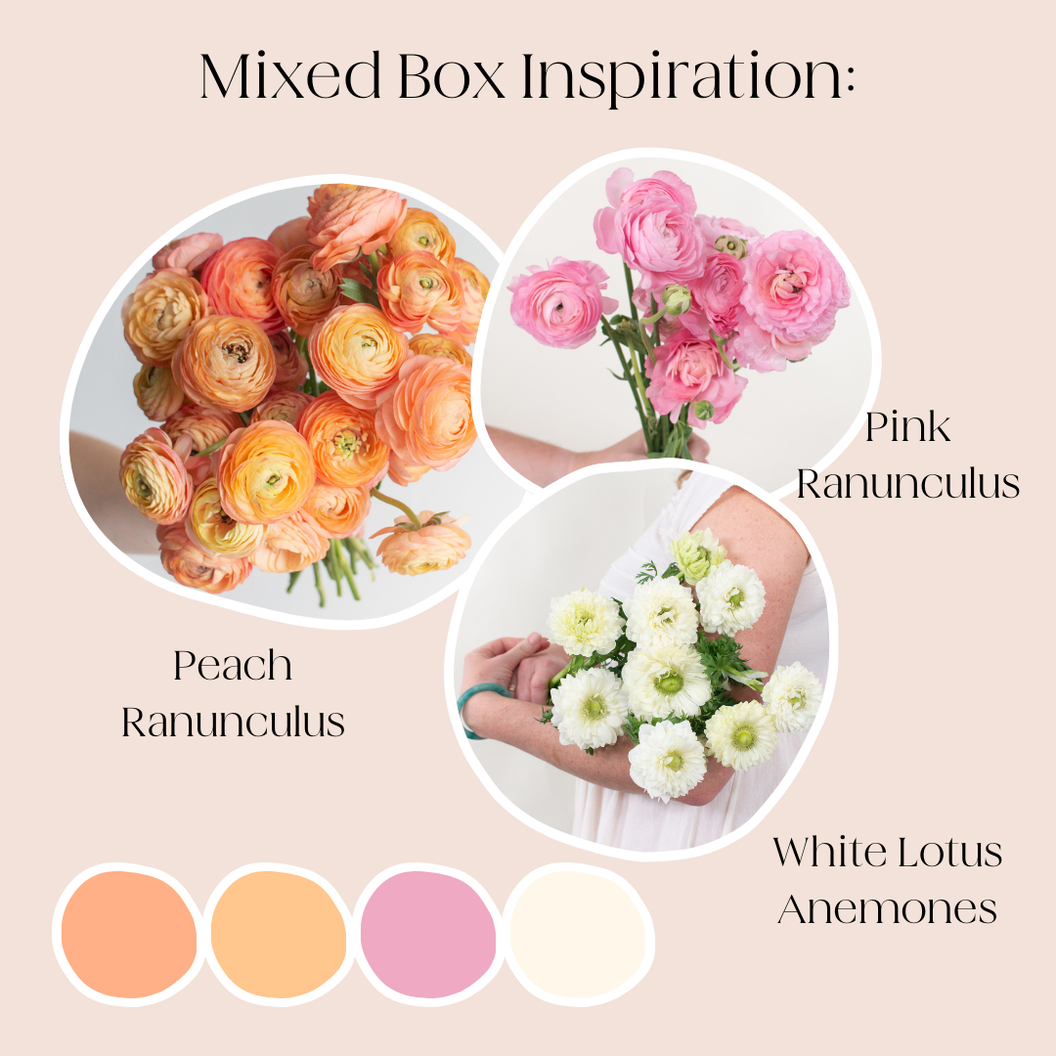 Ranunculus Flowers Online | DIY Wedding Flowers | Flower Moxie