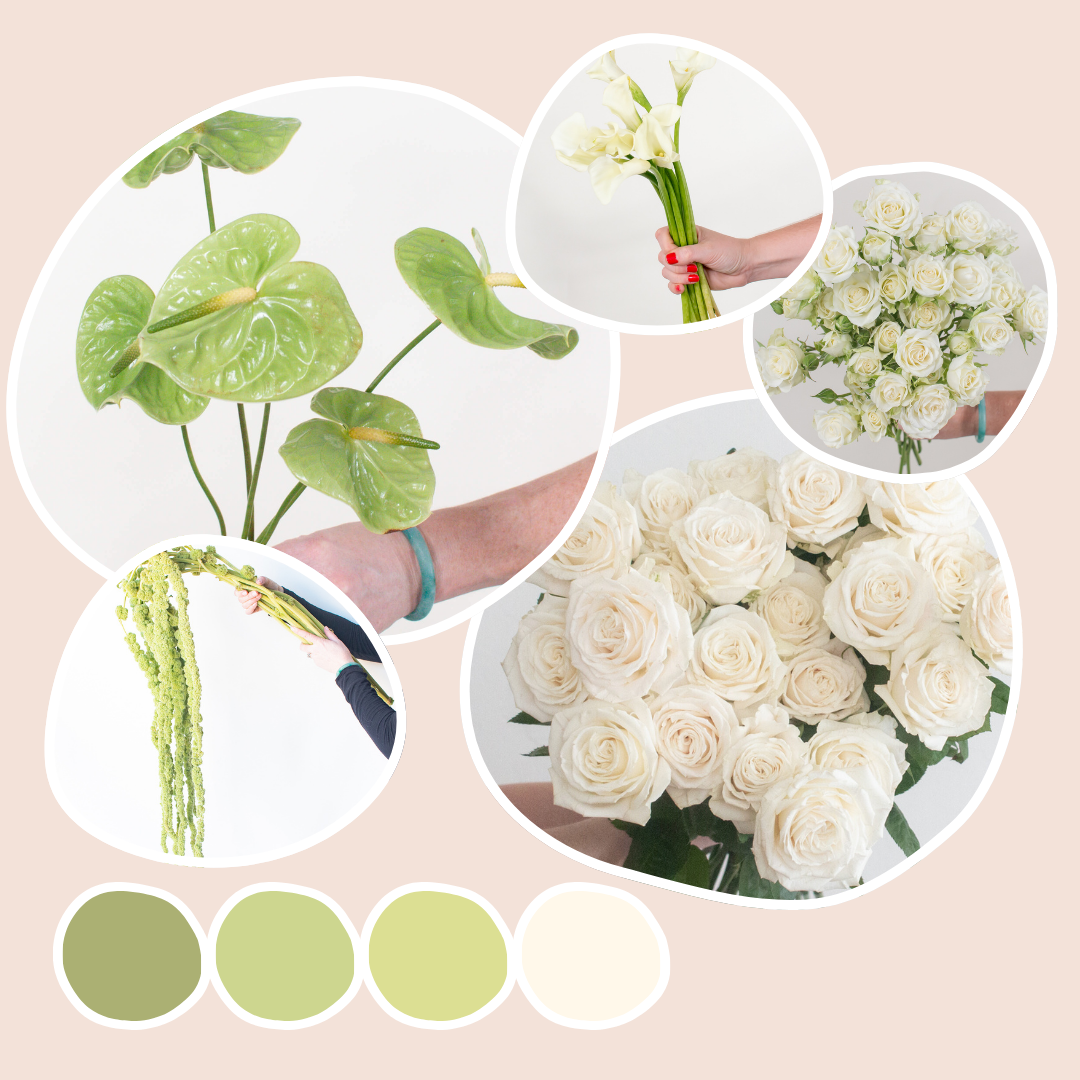 Modern Muse Sample Box | Flower Moxie Bulk Flowers