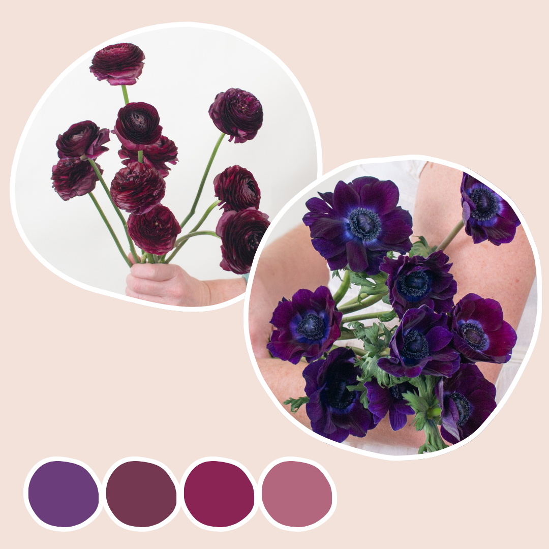 Deep Purple Ranunculus and Anemone Mixed Box | DIY Wedding Flowers ...