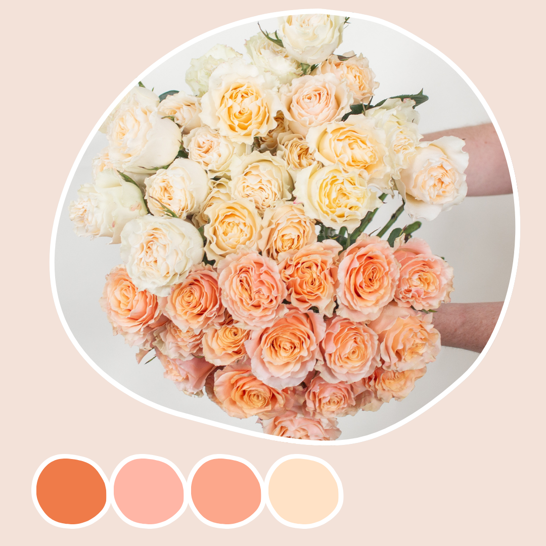 Carpe Diem Roses Mixed Box | Flower Moxie Bulk Flowers