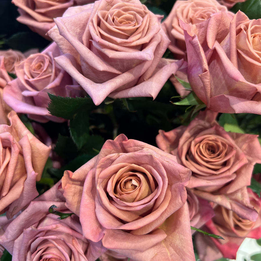 Mauve Pink Barista Roses | Fresh DIY Wedding Flowers | Flower Moxie