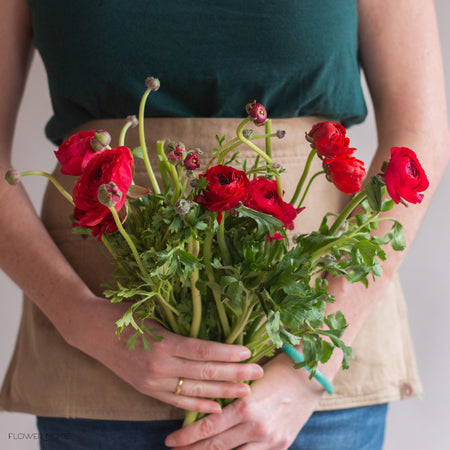 Red Currant Package – Flower Moxie