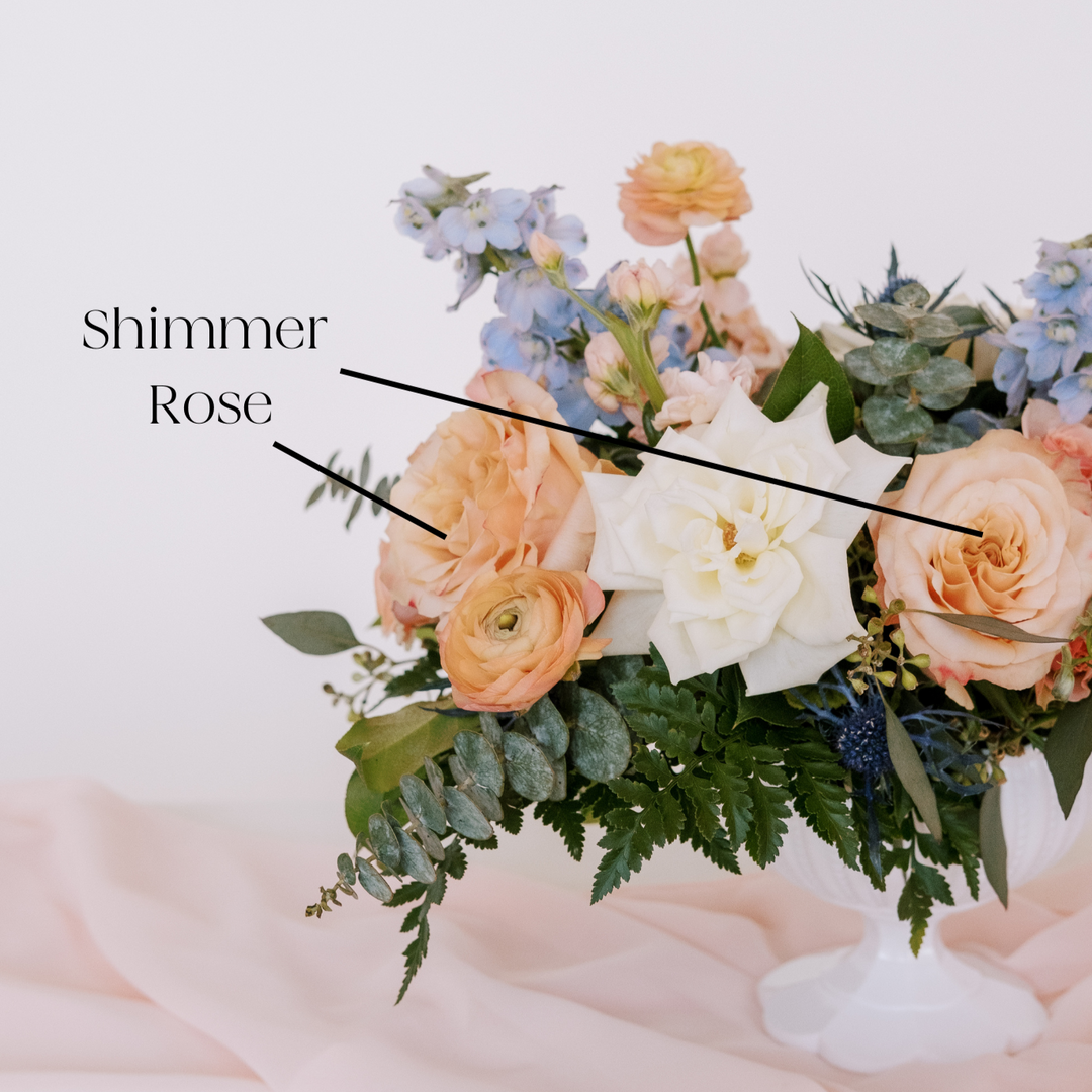 Shimmer Peach Roses | Fresh DIY Wedding Flowers | Flower Moxie