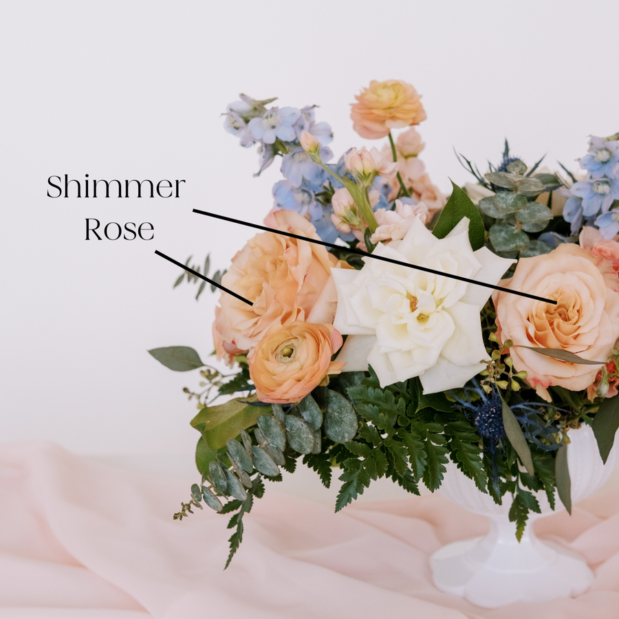 Shimmer Peach Roses | Fresh DIY Wedding Flowers | Flower Moxie