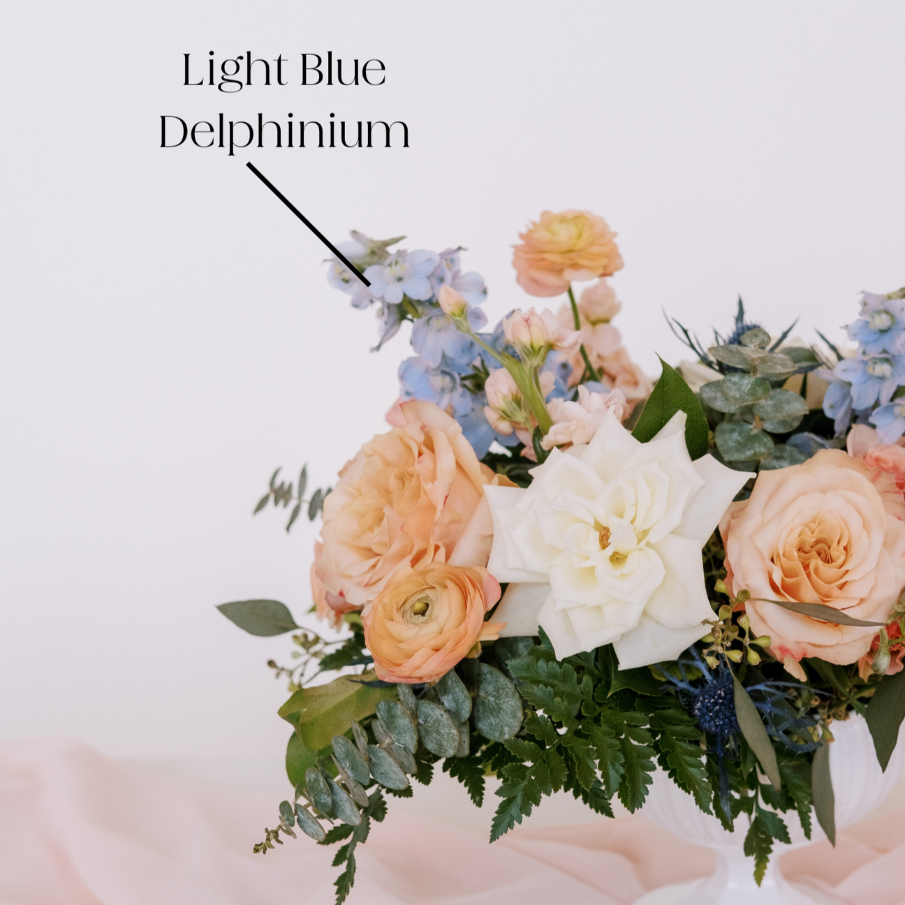 Light Blue Delphinium | Fresh DIY Wedding Flowers | Flower Moxie