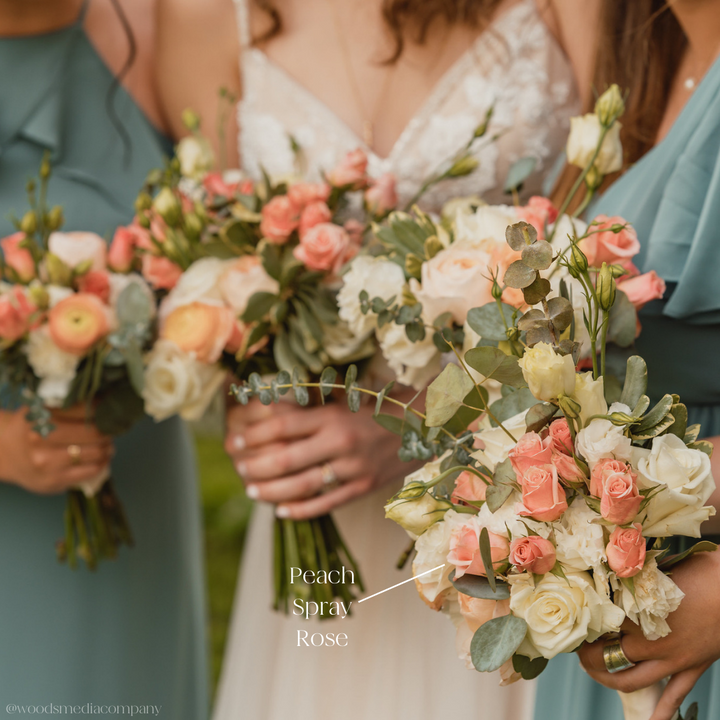 Peach Spray Rose Flower | DIY Wedding Flowers | Flower Moxie