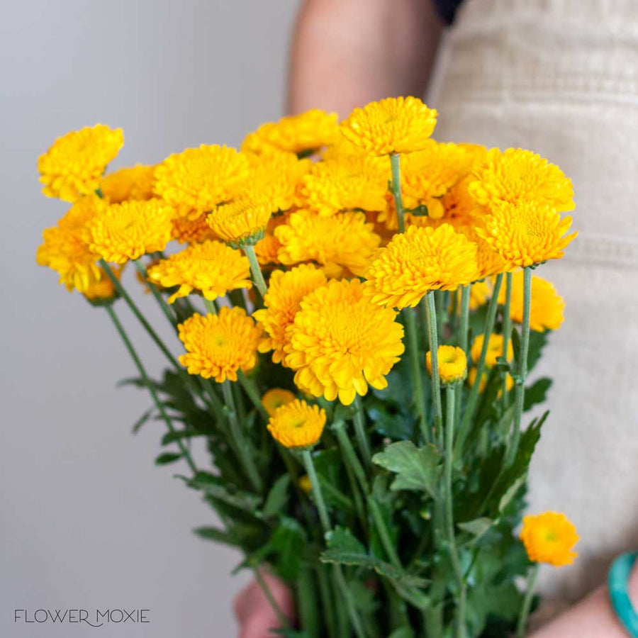 Yellow Button Pom Flower | DIY Wedding Flowers | Flower Moxie
