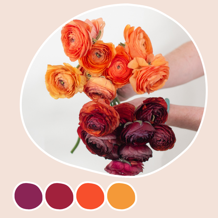 Orange and Chocolate Ranunculus Mixed Box | DIY Wedding Flowers ...