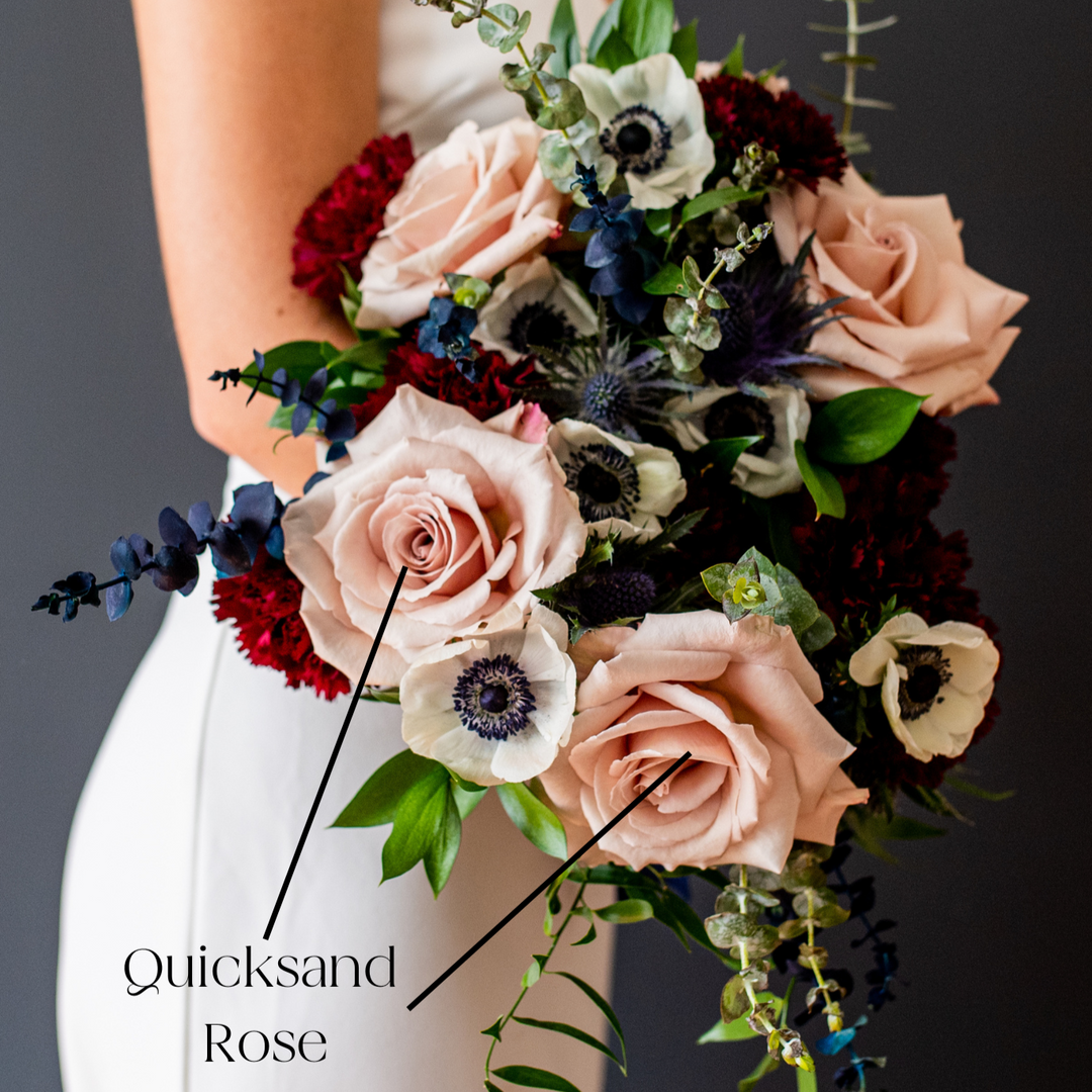 Beige Blush Quicksand Roses | DIY Wedding Flowers | Flower Moxie