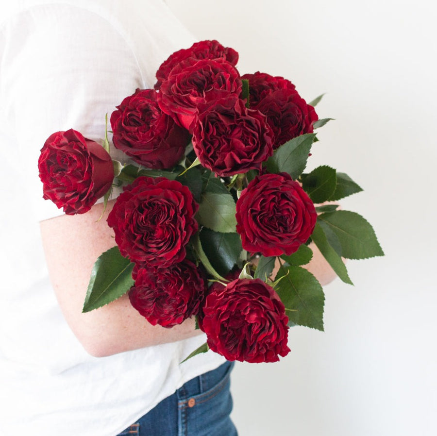 Red Garden Roses | DIY Wedding Flowers | Flower Moxie