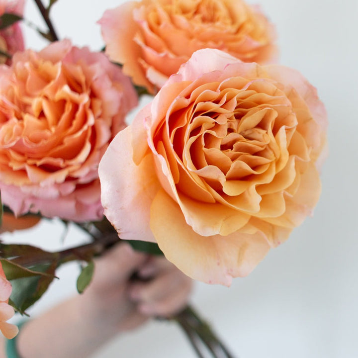 Mayra's Peach Garden Roses | DIY Wedding Flowers | Flower Moxie