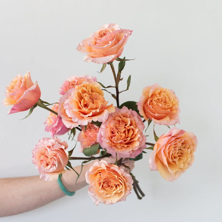 Mayra's Peach Garden Roses | DIY Wedding Flowers | Flower Moxie