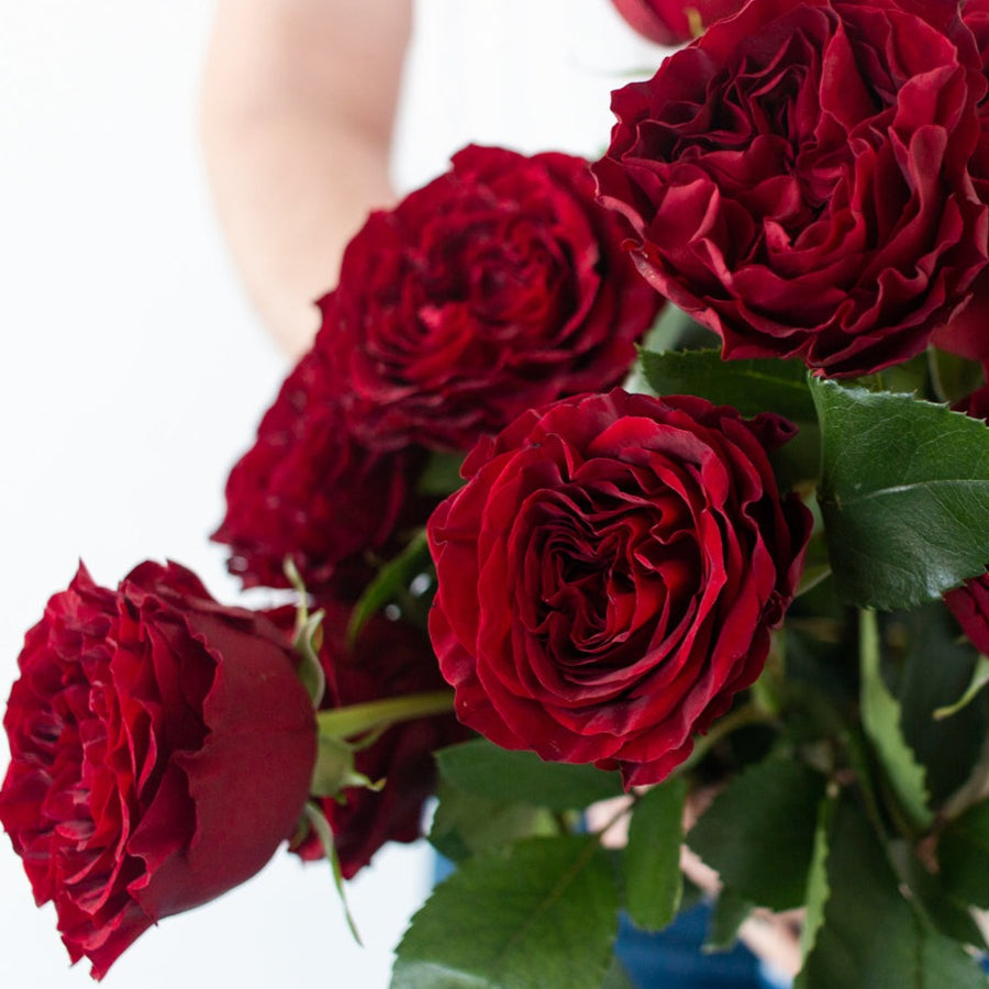 Red Garden Roses | DIY Wedding Flowers | Flower Moxie