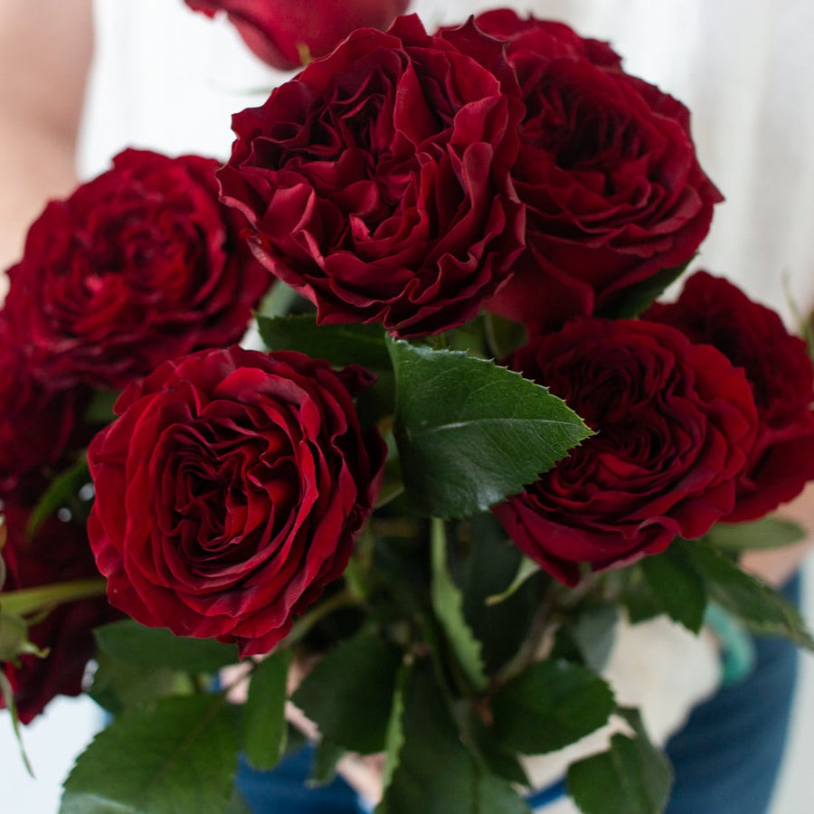 Red Garden Roses | DIY Wedding Flowers | Flower Moxie