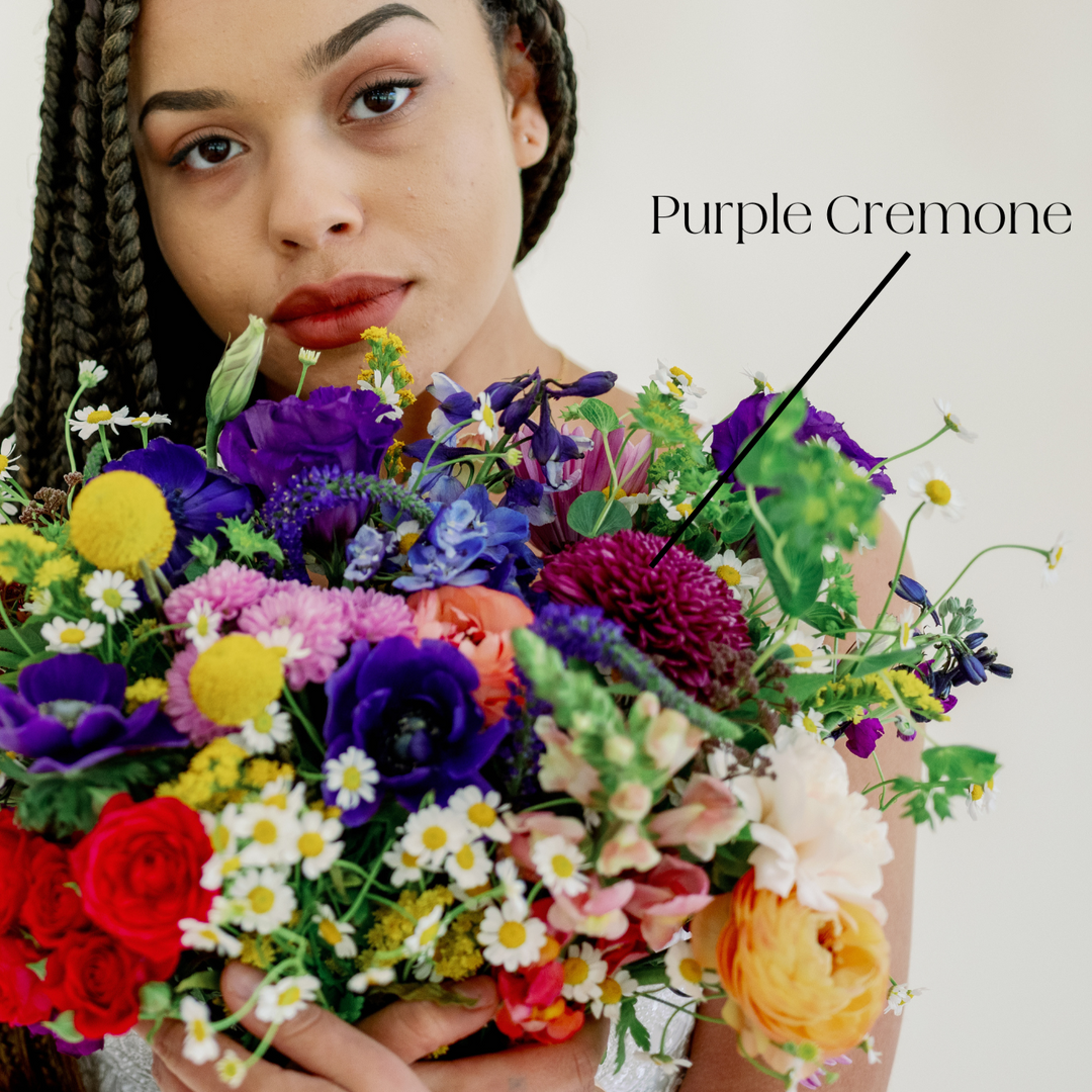 Purple Cremone Flower | DIY Wedding Flowers | Flower Moxie