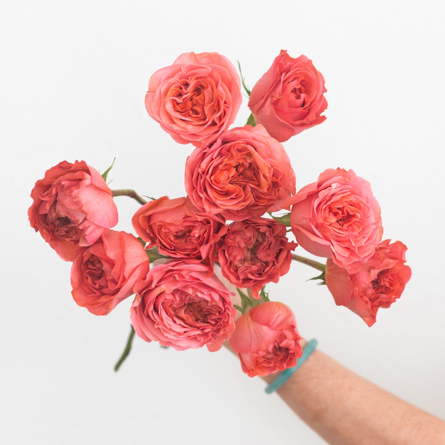 Coral Garden Roses | DIY Wedding Flowers | Flower Moxie