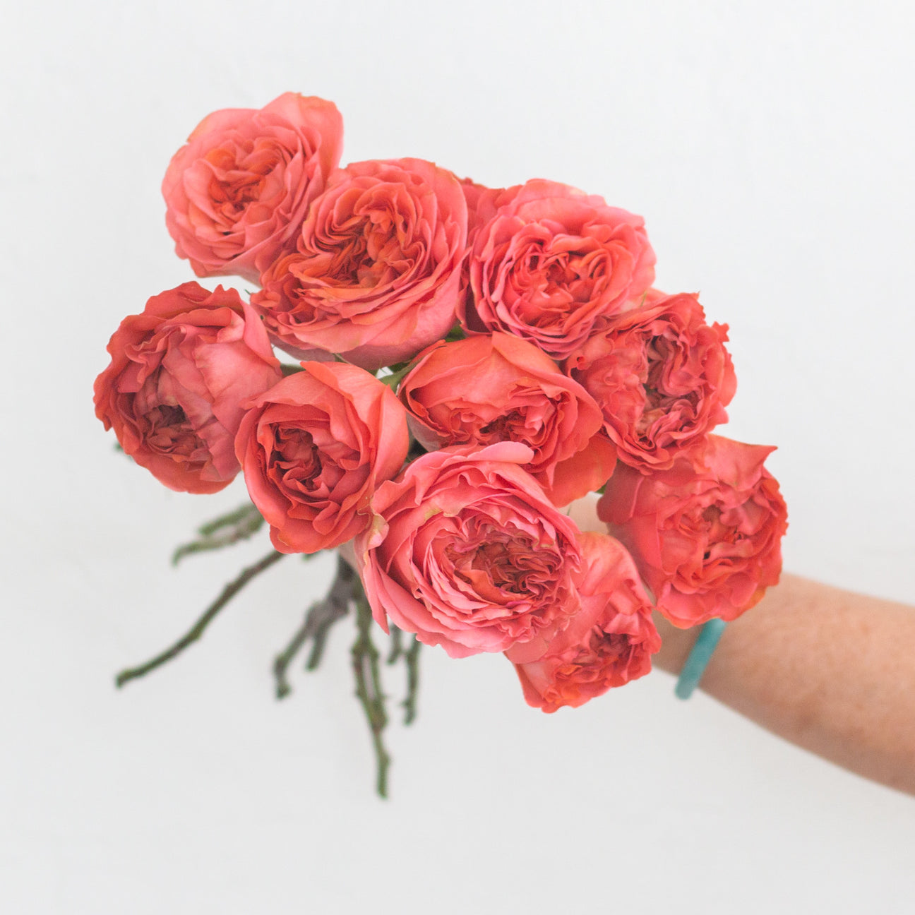 Coral Garden Roses | DIY Wedding Flowers | Flower Moxie