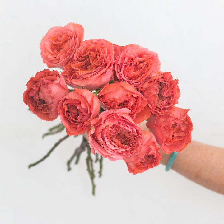 Coral Garden Roses | DIY Wedding Flowers | Flower Moxie