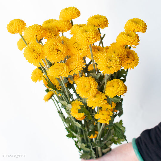 Yellow Button Pom Flower | DIY Wedding Flowers | Flower Moxie