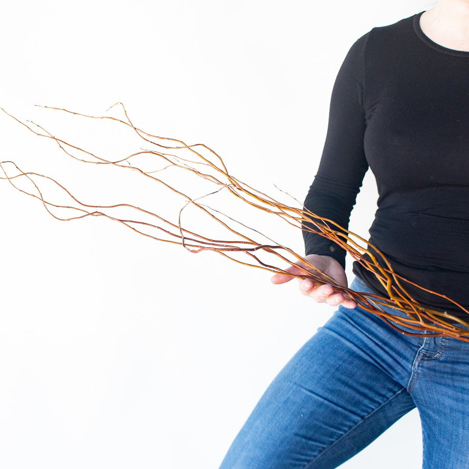 Bulk Fresh Curly Willow Branches for DIY Weddings – Flower Moxie