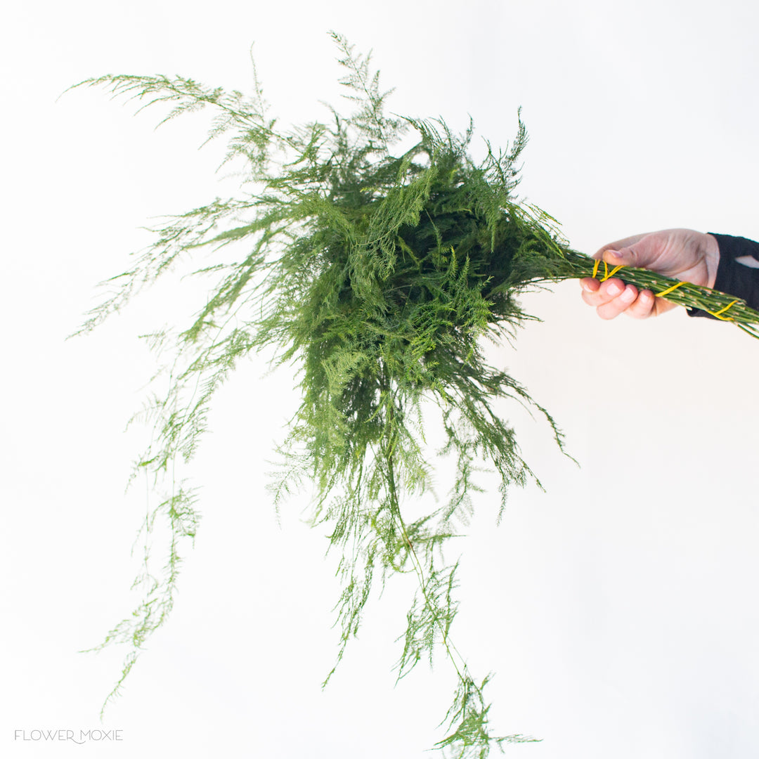 Plumosa Fern Greenery | DIY Wedding Flowers | Flower Moxie