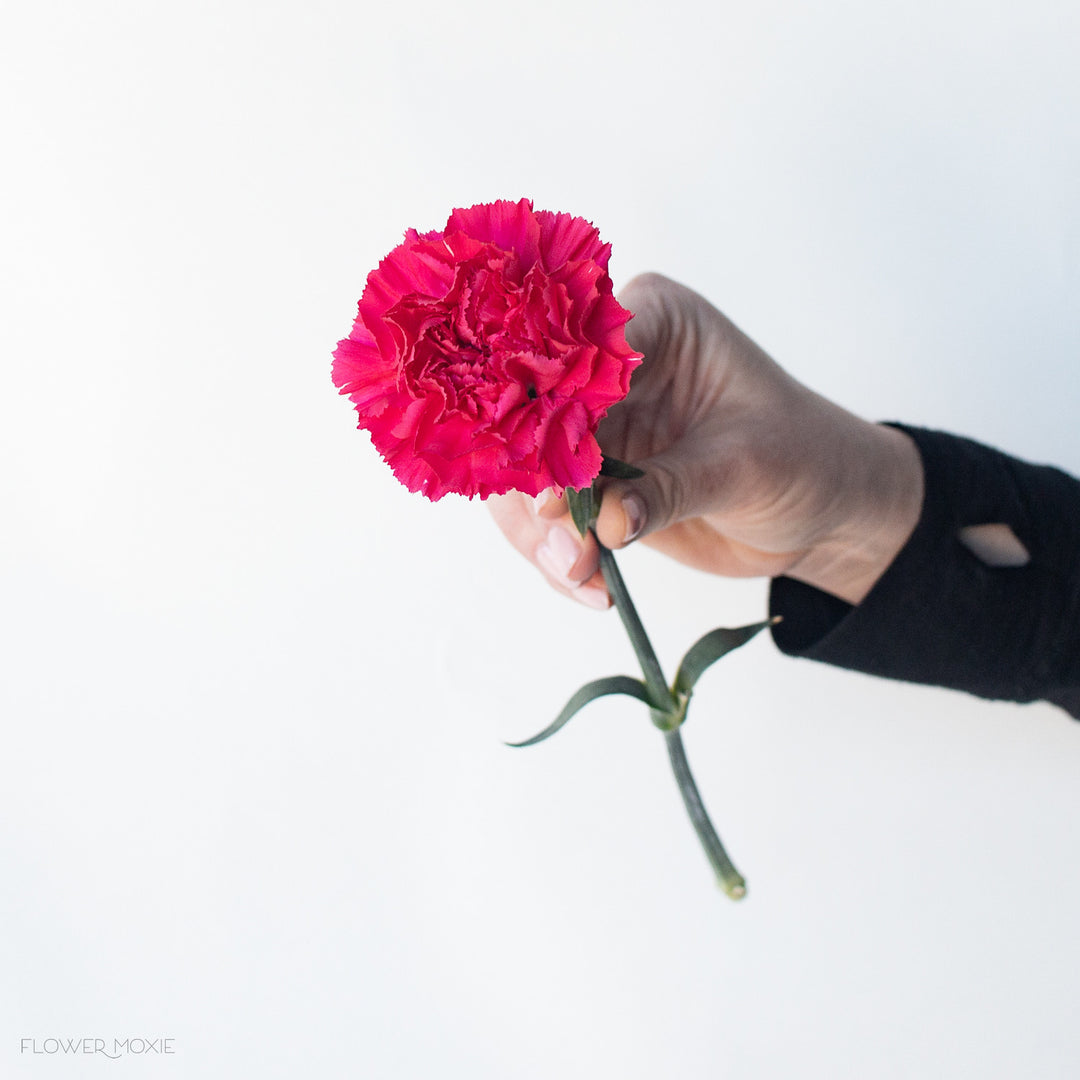 Dark Pink Carnations | Fresh DIY Wedding Flowers | Flower Moxie