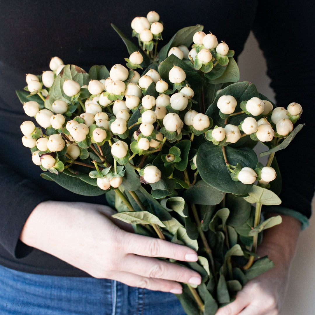 Cream Hypericum Berries | DIY Wedding Flowers | Flower Moxie