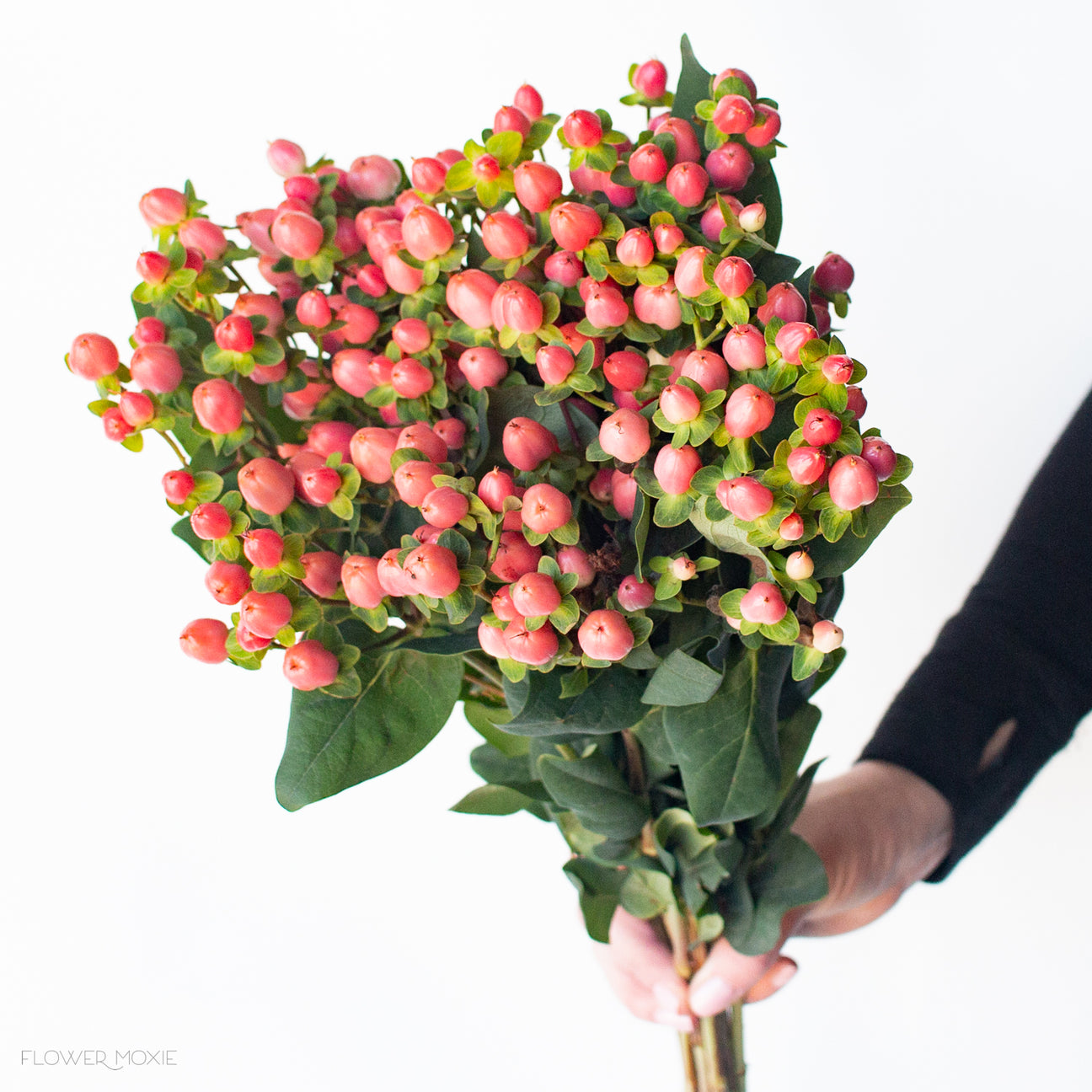 Peach Hypericum Berries | DIY Wedding Flowers | Flower Moxie
