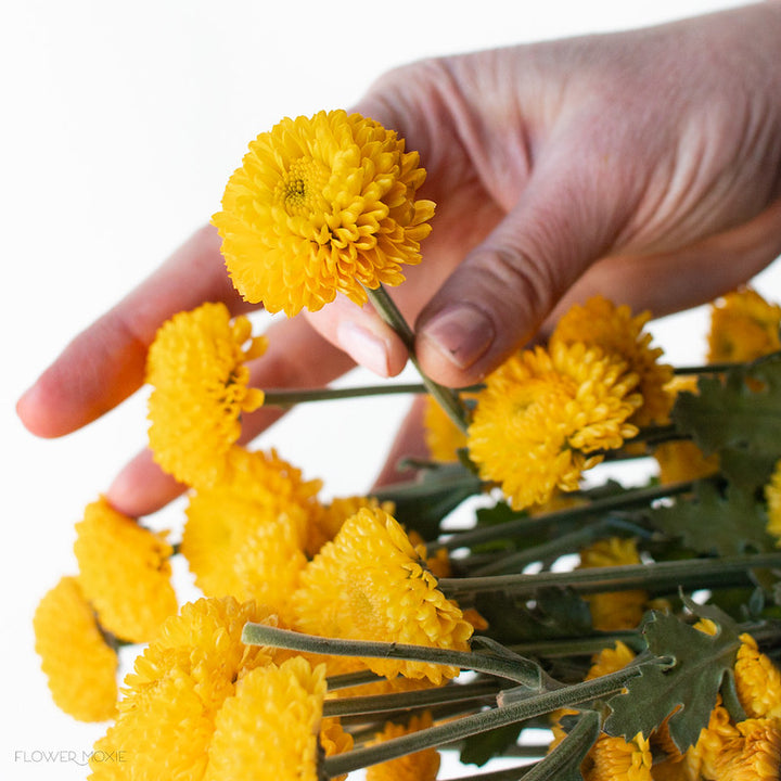 Yellow Button Pom Flower | DIY Wedding Flowers | Flower Moxie
